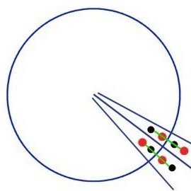 Folk Dance - basic moves explained.